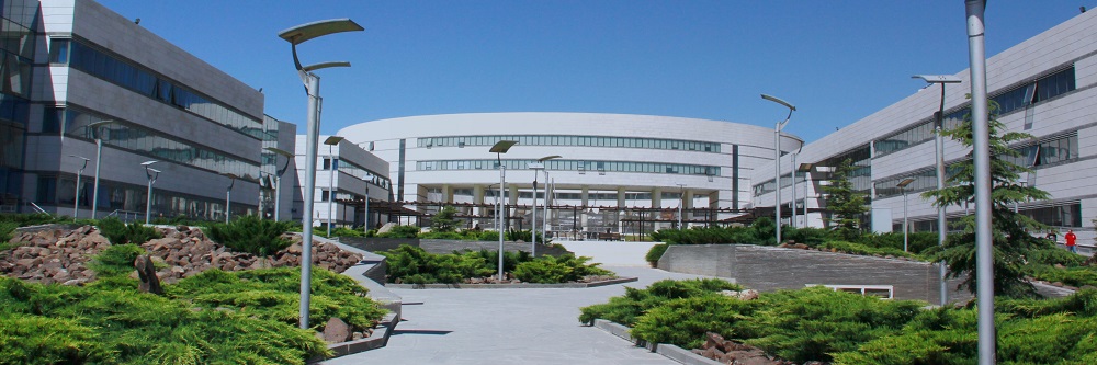 Arab International University